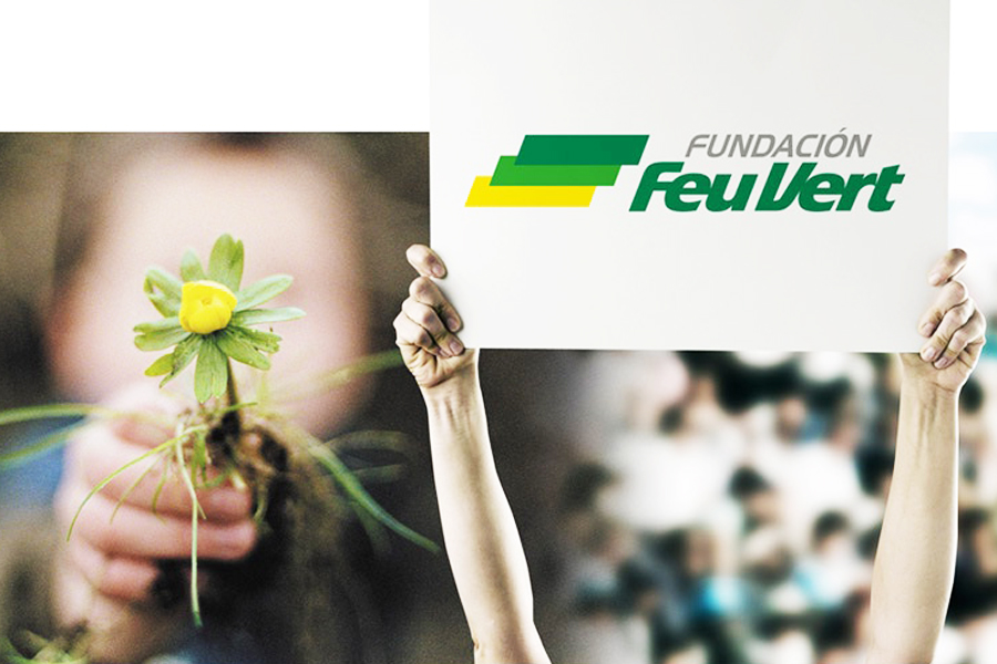 Donaciones Feu Vert - Fundación Feu Vert